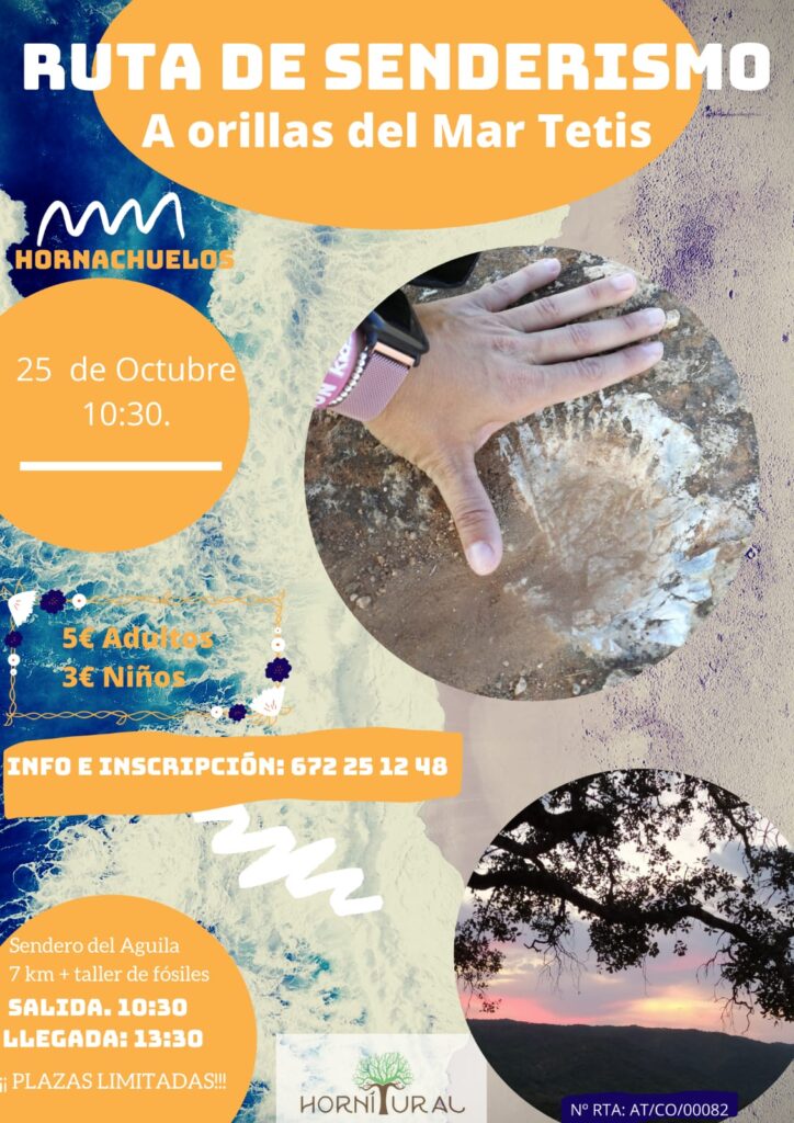 Ruta de Senderismo «A Orillas del Mar Tetis» – Turismo Hornachuelos