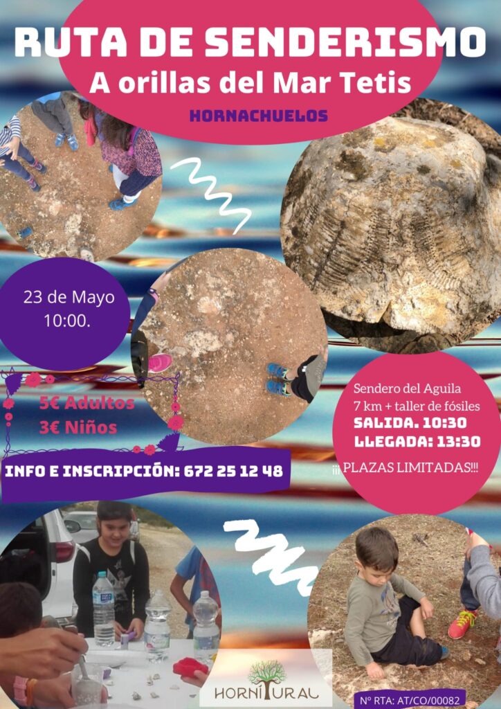 Ruta de Senderismo «A orillas del mar Tetis». 23 de mayo. – Turismo ...