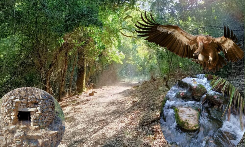 🌊 Senderismo » A orillas del mar de tetis», 27 de febrero. – Turismo ...